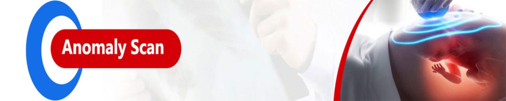 Anomaly Scan - 𝐌𝐨𝐝𝐞𝐫𝐧 𝐋𝐚𝐛 & 𝐗-𝐑𝐚𝐲𝐬